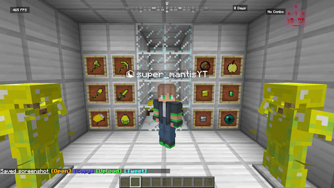 Make a custom minecraft texture pack for you by Super_mantisyt | Fiverr