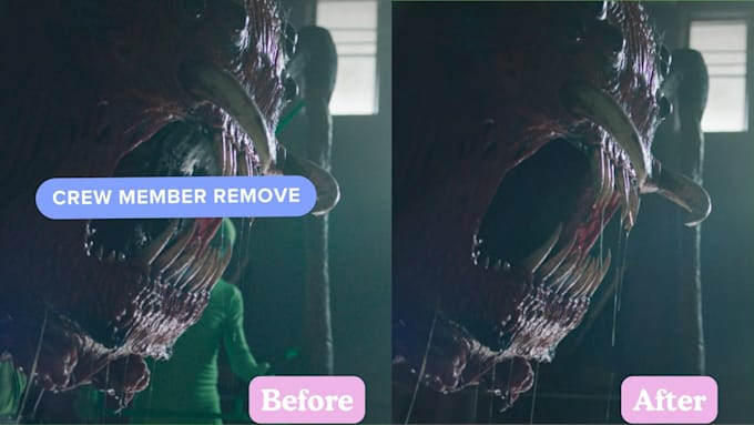 Do vfx cleanup, wire and rig removal, object removal by Amanjeetsing ...