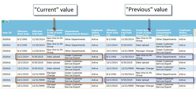 Create reports in sap successfactors reporting module by Gulianig | Fiverr