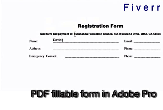 Make a fillable pdf forms by Micheal_jsk | Fiverr