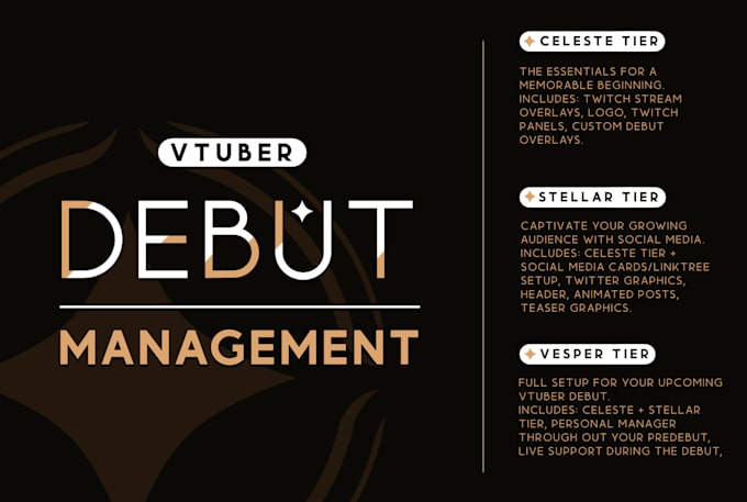 Help you manage your vtuber debut by Fikocomms | Fiverr