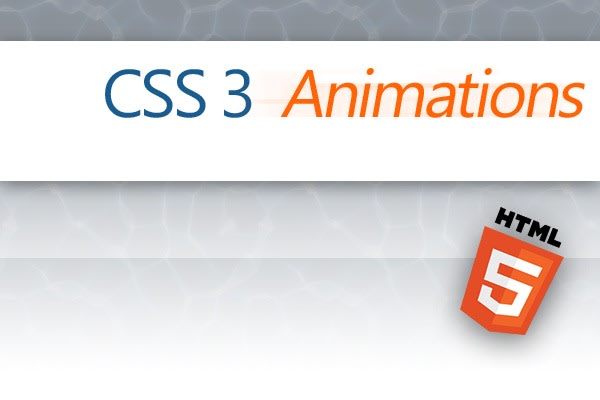 Create css3 animation for you by Ridamukhtar | Fiverr