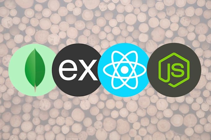 Develop web application by using react js, node js, express js, mongodb ...