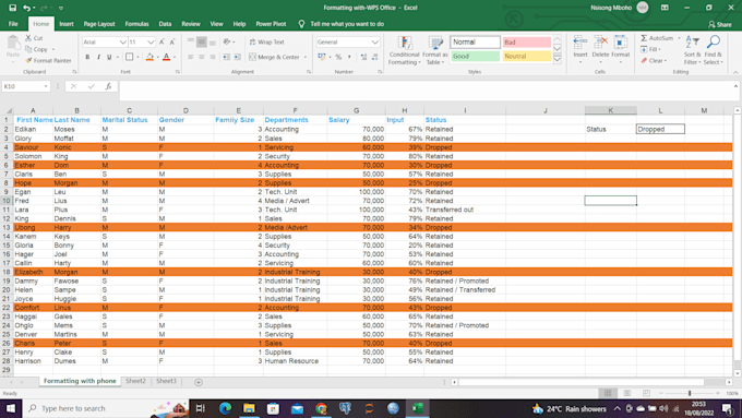 Do data cleaning and visuals with python and excel by Nsisongmboho | Fiverr