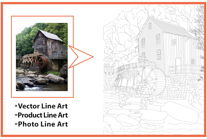 Do draw detailed vector line art illustrations skilled way by Saifulemb ...