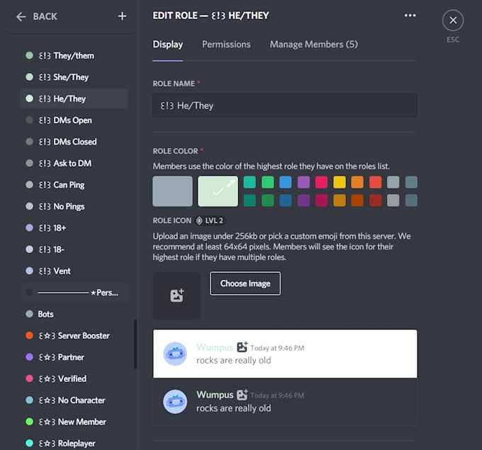 Make you a unique and organized discord server by Lizarrdguts | Fiverr