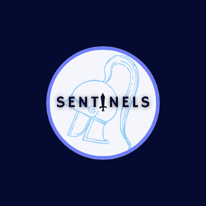 Logo, sm post, banners, poster designer by Airsoftlancing | Fiverr