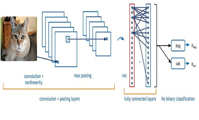 Make binary classification model using a convolutional neural network ...