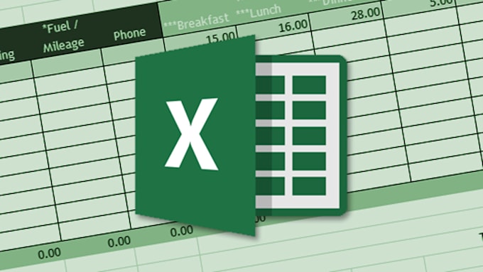 Create a project in excel following your requests by Matteomori150 | Fiverr