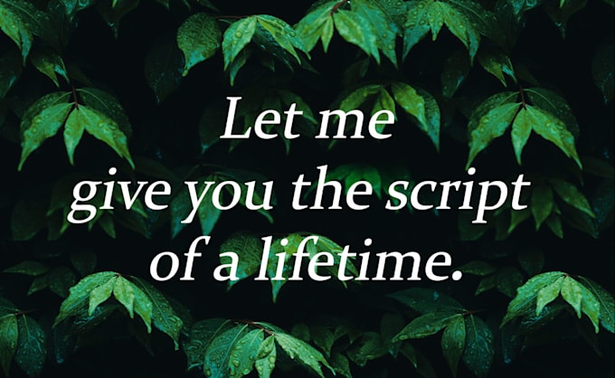 Write a professional script by Saschavdt | Fiverr