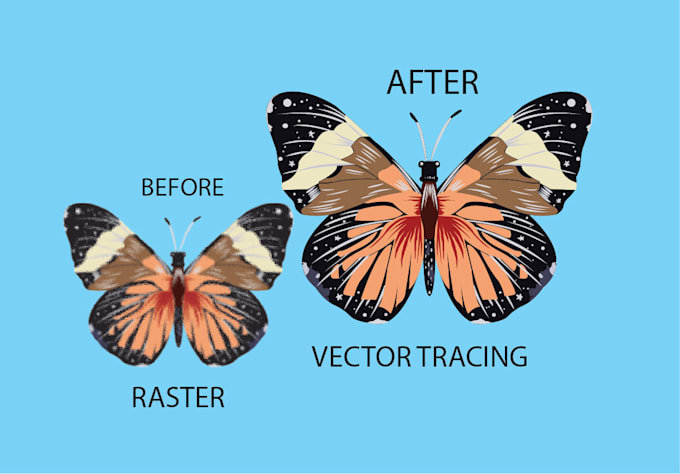 Tracing Illustrator And Redraw Logo Bitmap To Vector By Burhanaslam148
