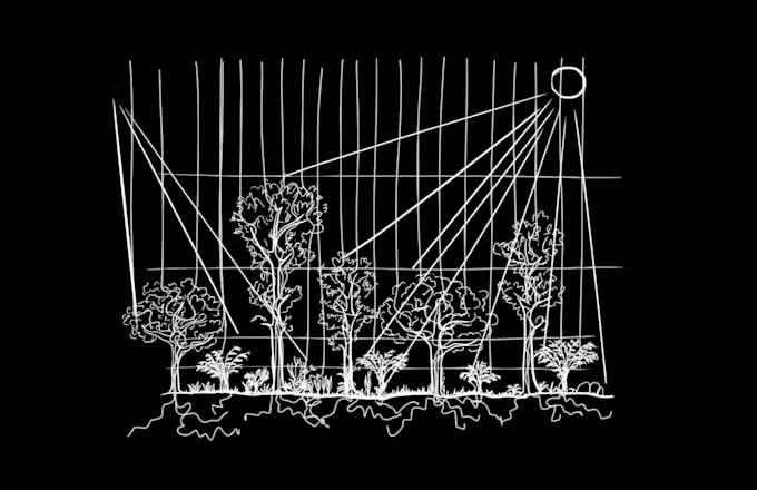 Create a custom line drawing animation by Mary_az | Fiverr