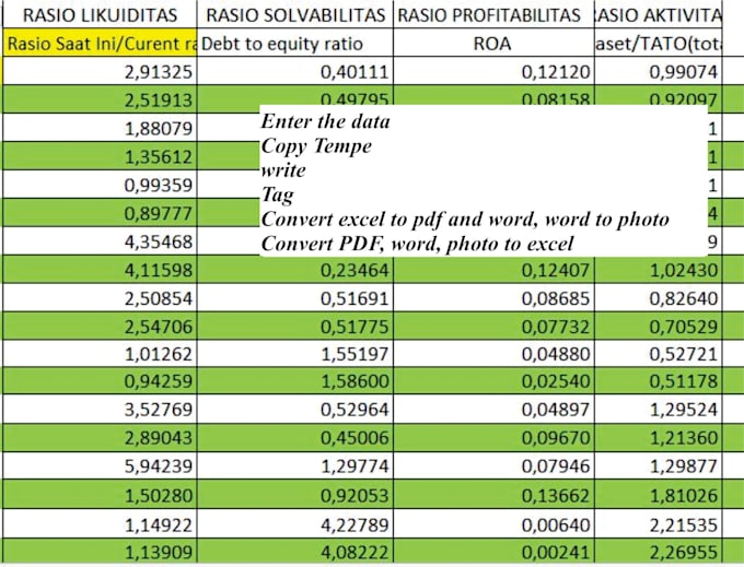 Enter data into excel by Sunsun661 | Fiverr