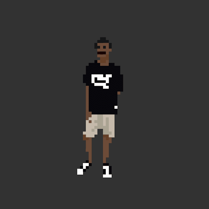 Design 8bit pixel art for your own character by Faelmin | Fiverr
