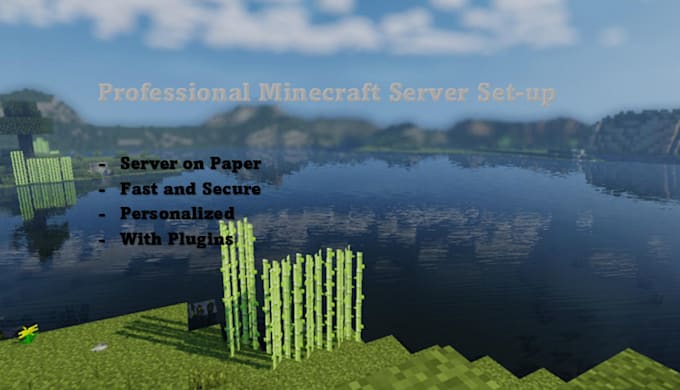 Setup a professional minecraft server by Lukimc | Fiverr