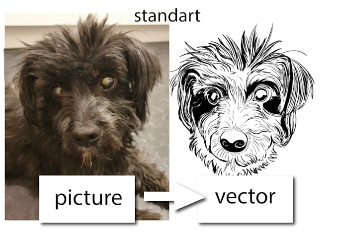 Create a vector from photos by Asta_ko | Fiverr