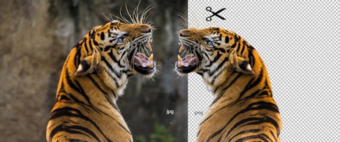 Remove backgrounds and do transparent png conversions by Aliguraydin ...