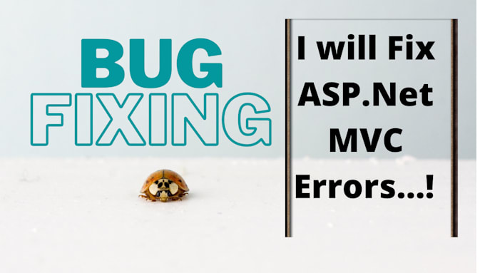 Fix Bugs In Your Asp Dot Net Mvc Application By Hiramustafa1 Fiverr 9878