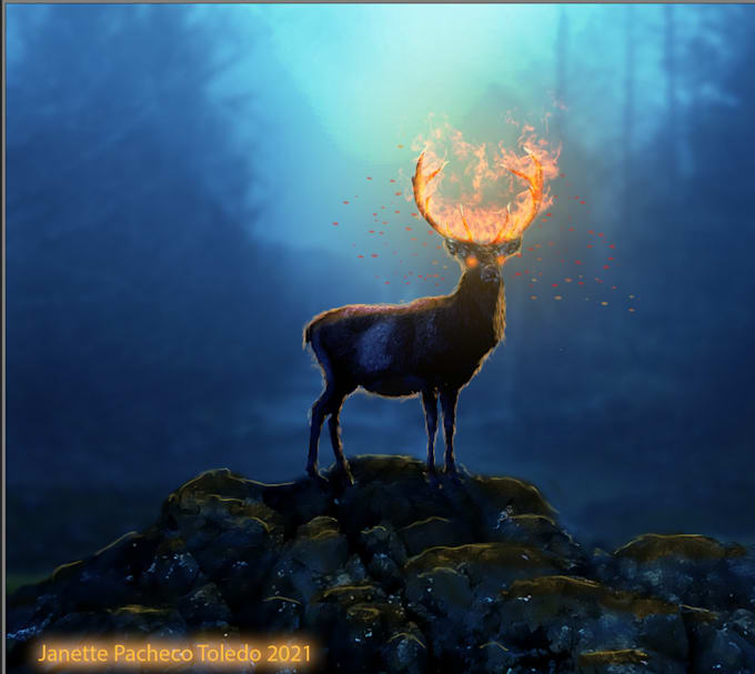 Professional photoshop work montage by Janette2802 | Fiverr