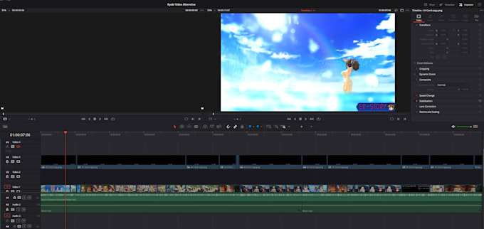 Edit your videos and audio as you request by Ryuhime21 | Fiverr