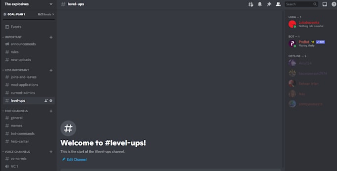 Make your discord server even better by Lukabuzookayt | Fiverr