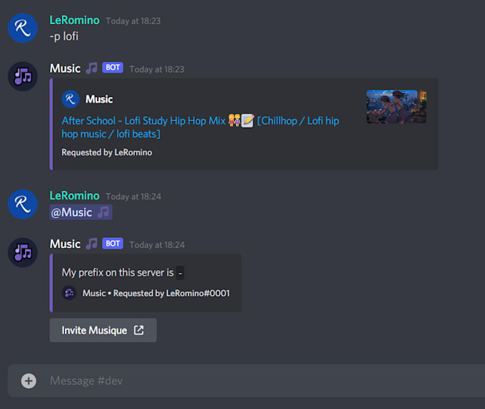 Create a custom discord bot for you by Leromino | Fiverr
