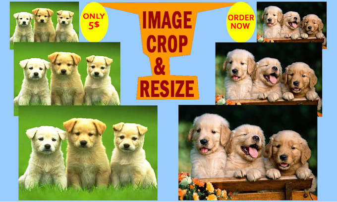 Resize and crop bulk images with photo editing by Proactive247 | Fiverr