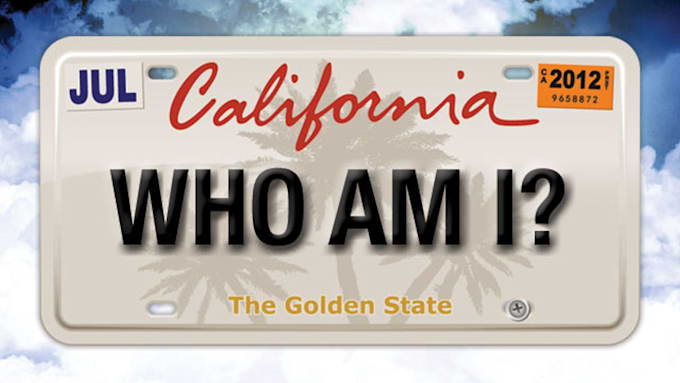 Run a license plate by Investigatorusa | Fiverr