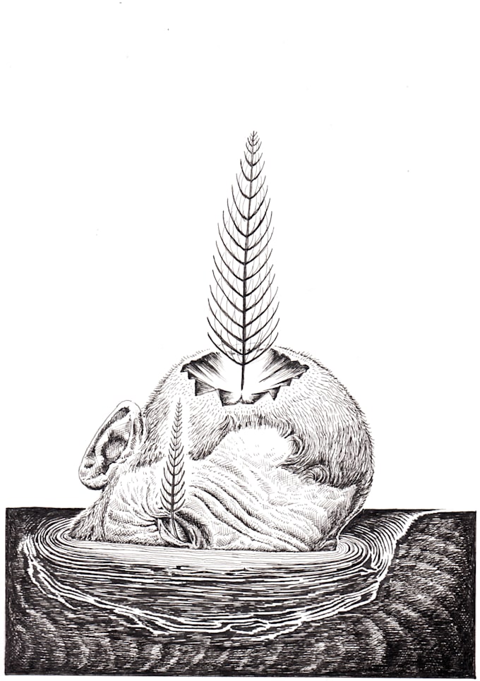 Draw detailed art illustration ink professionally by Muhsaw | Fiverr