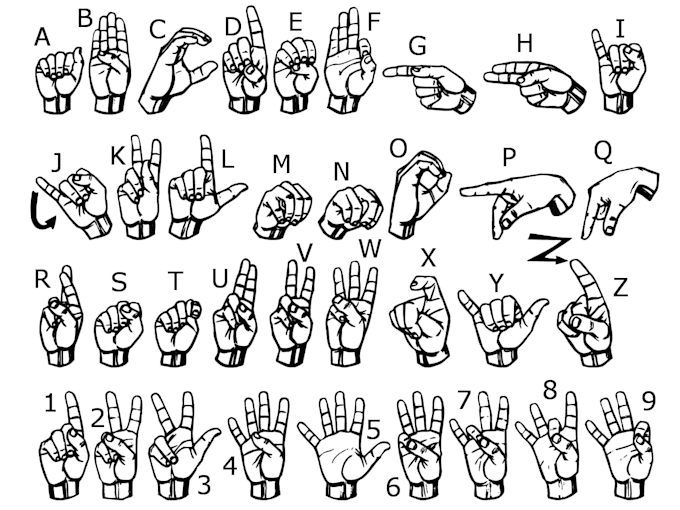 Teach basic american sign language by Denajablanchard | Fiverr