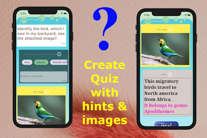 Develop online quiz app with flutter to create quizzes by Flutter_d ...