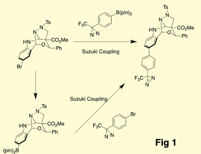 Draw chemical structures and mechanisms using chemdraw by Jaelevy | Fiverr