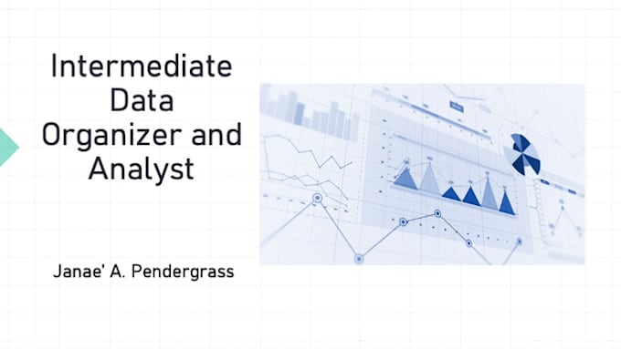 Organize and analyze large complex datasets by Wutnae | Fiverr