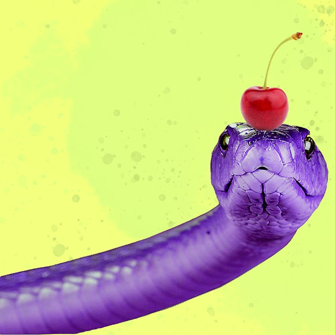 Create random photoshop stuff by Clarasaurus | Fiverr