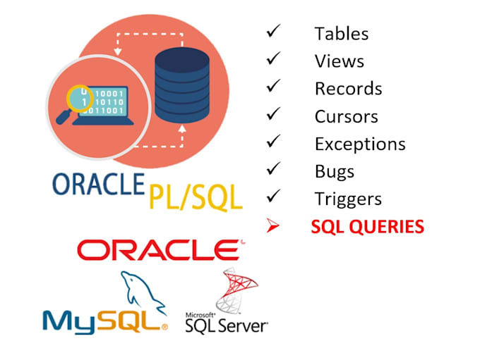 Write Plsql Oracle Queries For Your School Or Professionnel Works By Mohamedarbani Fiverr