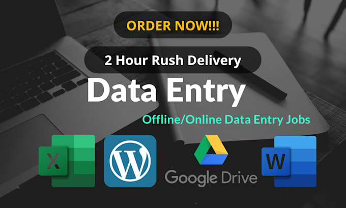 Do data entry, excel data entry, web scraping, copy paste, pdf to excel by Indianguru007 | Fiverr