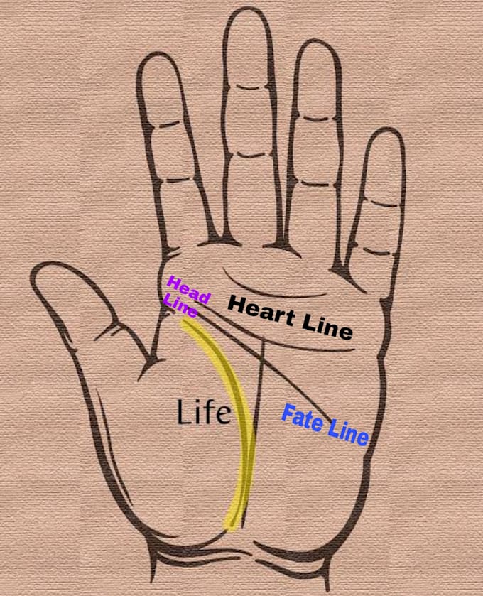 Read your palm and predict your future by Denicey | Fiverr