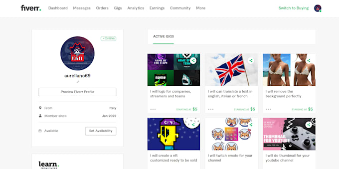 Make a perfect profile for start fiver by Aureliano69 | Fiverr