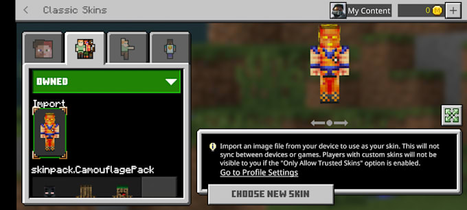 Make minecraft professional skins for you by Worldylogos | Fiverr