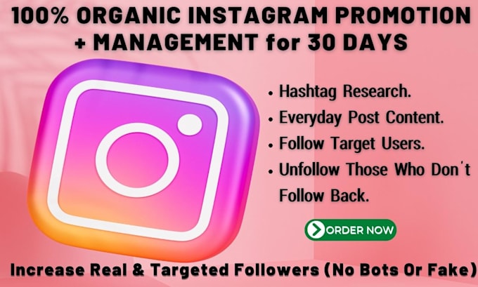 Do organic instagram promotion to grow targeted follower and engagement ...