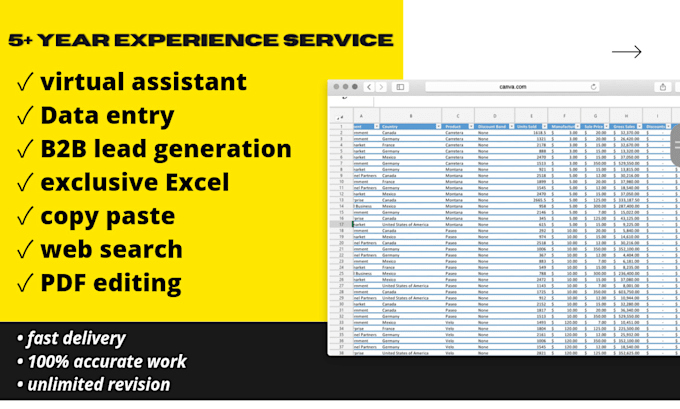 Do data entry virtual assistant web research excel work by ...