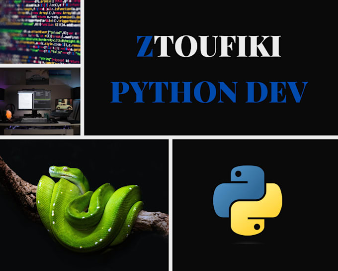 Do Your Python Code Automation Tasks And Algorithm Scripts By Zakarya1997 Fiverr