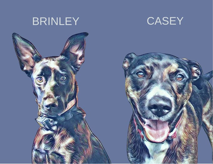 Make a custom digital pet portrait by Ktsb15 | Fiverr