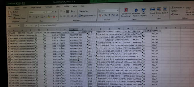 Do all kind of data entry in ms excel, ms word, copy paste by ...