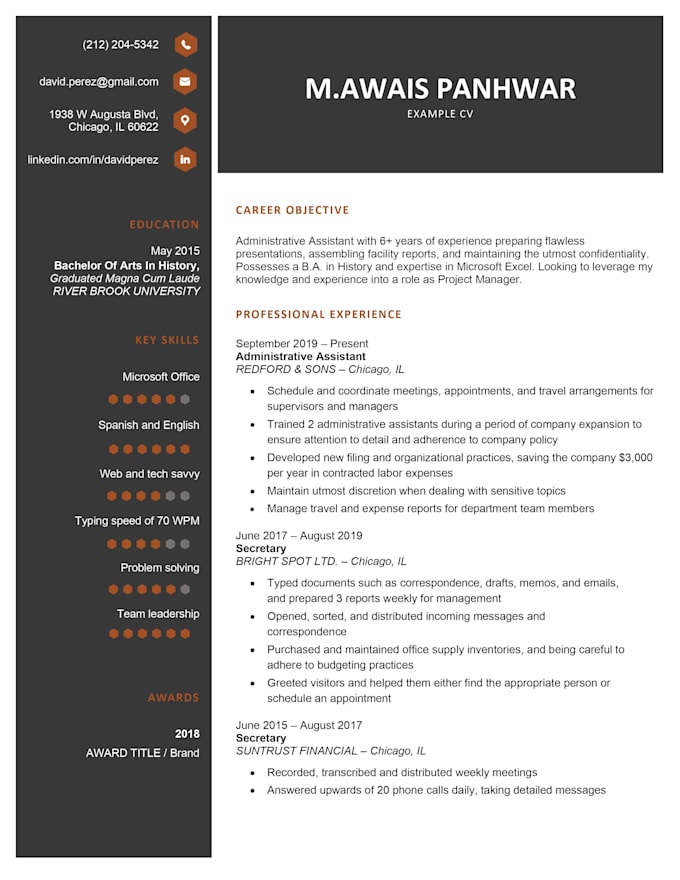 Build a eye catching cv, resume by Kap286 | Fiverr