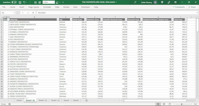 Format your data and clean your excel database, by Sedo_gnnc | Fiverr
