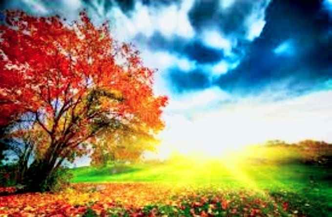 Adjust and edit your photos to your liking by Transfromus | Fiverr