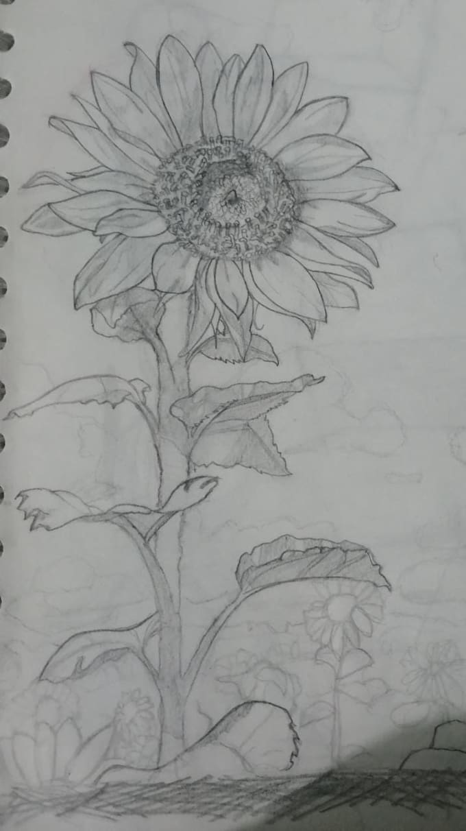 Help you to create a beautiful representation of your art by ...