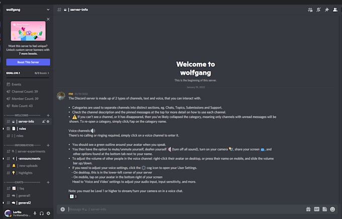 Make a small discord server with basic bots by Levblagov | Fiverr