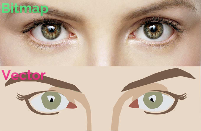 Create a vector image from your bitmap image by Photojobz | Fiverr